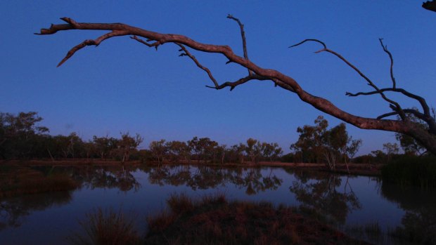 Adani decision must not be last word in climate fight