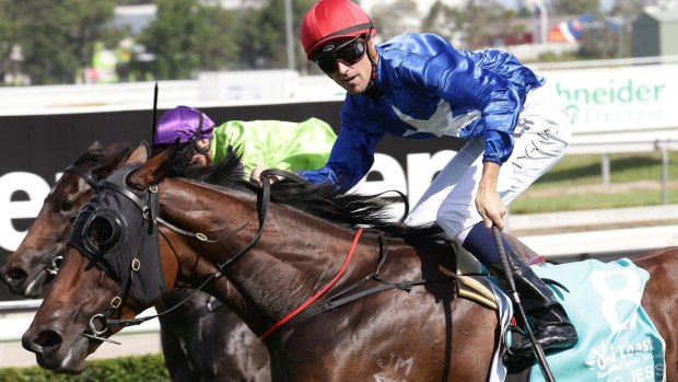 Injured jockey Angland makes first public appearance since horror fall