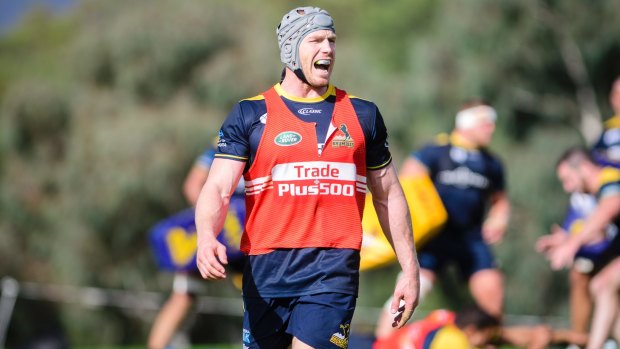 Wallabies great Simon Poidevin says David Pocock must 'return the ...