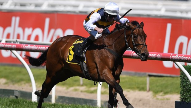 Villiers rivals neck and neck for Summer Cup honours