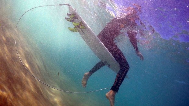 World-first research confirms why great white sharks bite humans