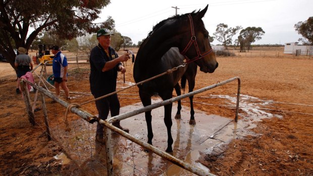 Pooncarie celebrates local race day despite drought