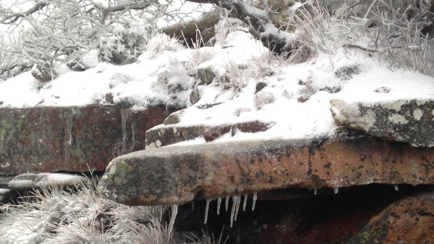 Melbourne Express: Breaking news, headlines, trains, roads and weather