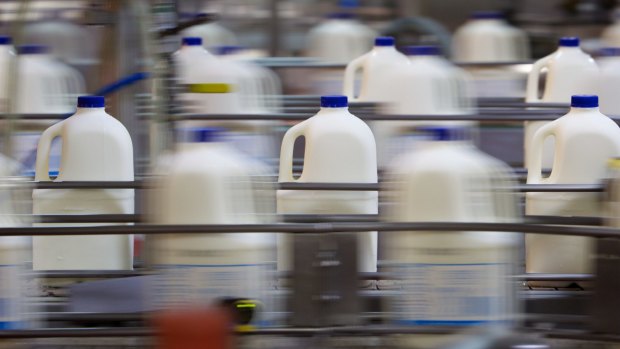 Milk supplier shuts factory weeks after it won government contract