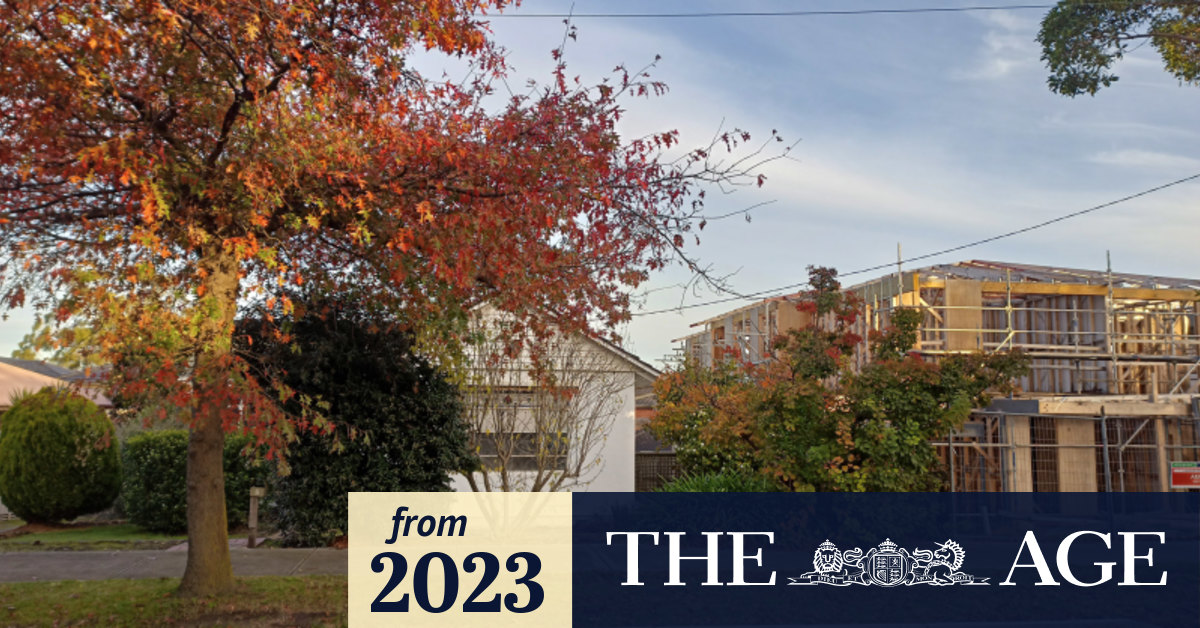 Ashburton: High Street’s north and south battle revealed in one of ...