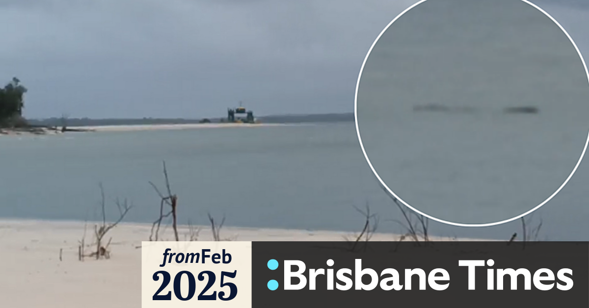Footage of Qld crocodile at Rainbow Beach Inskip Point