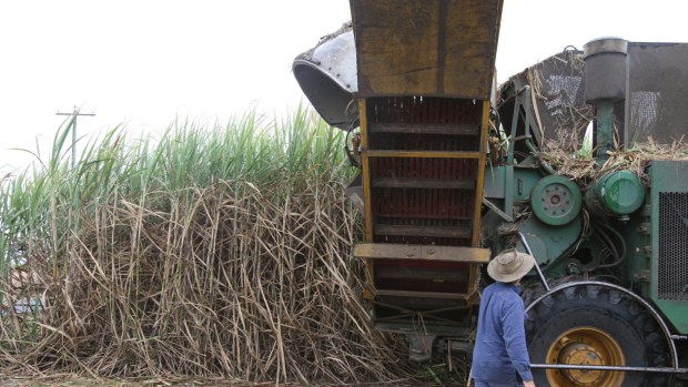How Australian sugarcane waste could be turned into sustainable jet fuel