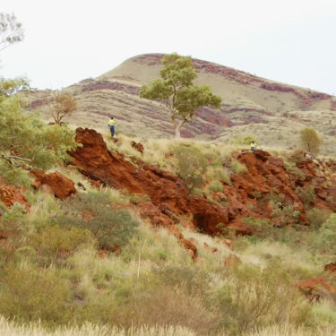 Juukan Gorge explosion: How did Rio Tinto get away with blowing up ...