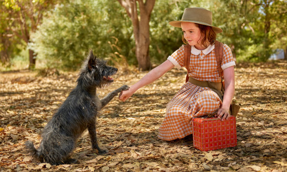 Move over, Bluey: meet Australia’s newest canine star