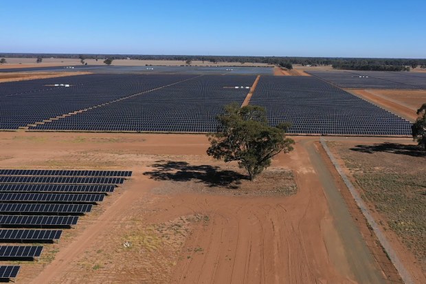 VicGrid to oversee renewables connections
