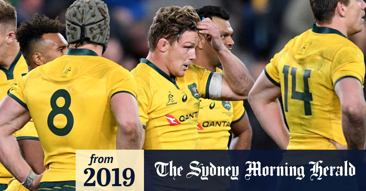 Bledisloe Cup 2019: Wallabies welcome Perth as venue for opener against ...