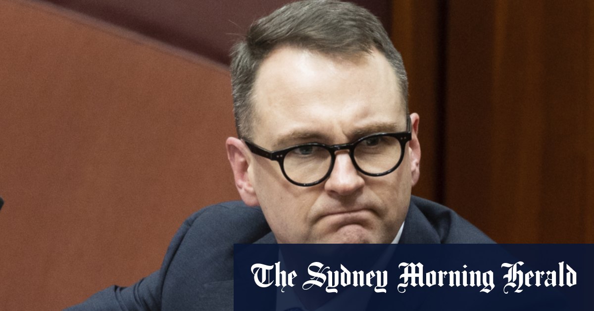 Liberal senator Andrew Bragg accuses ASIC, Labor of cover-up