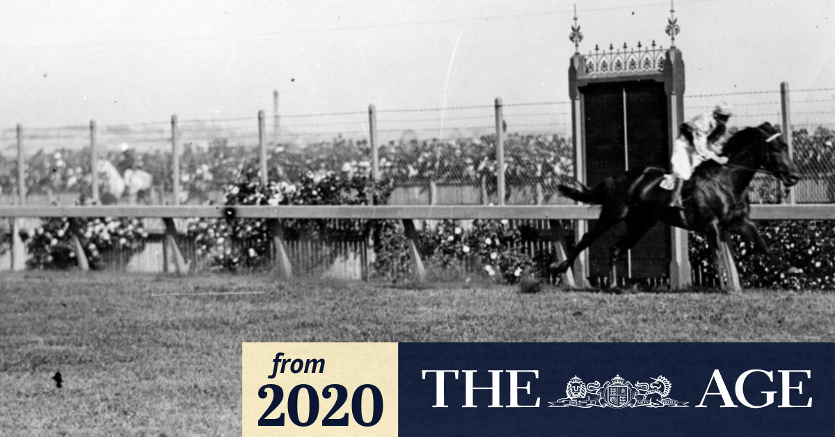 Melbourne Cup 2020 | Racegoers flocked to Flemington in 1919 after the ...