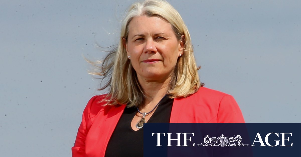 AFL 2021: Melbourne Demons president Kate Roffey to push for equality