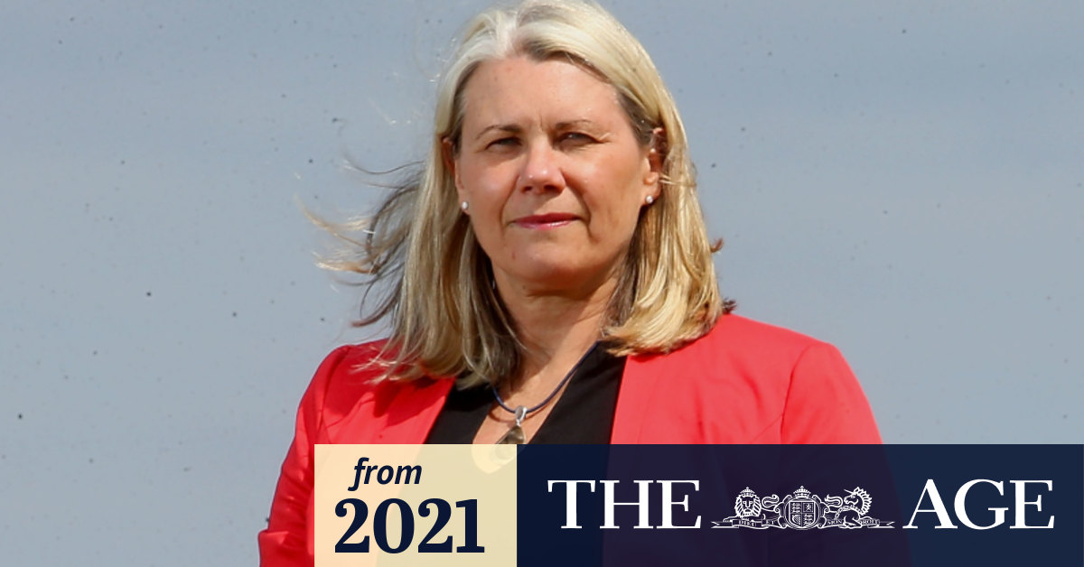 AFL 2021: Melbourne Demons president Kate Roffey to push for equality