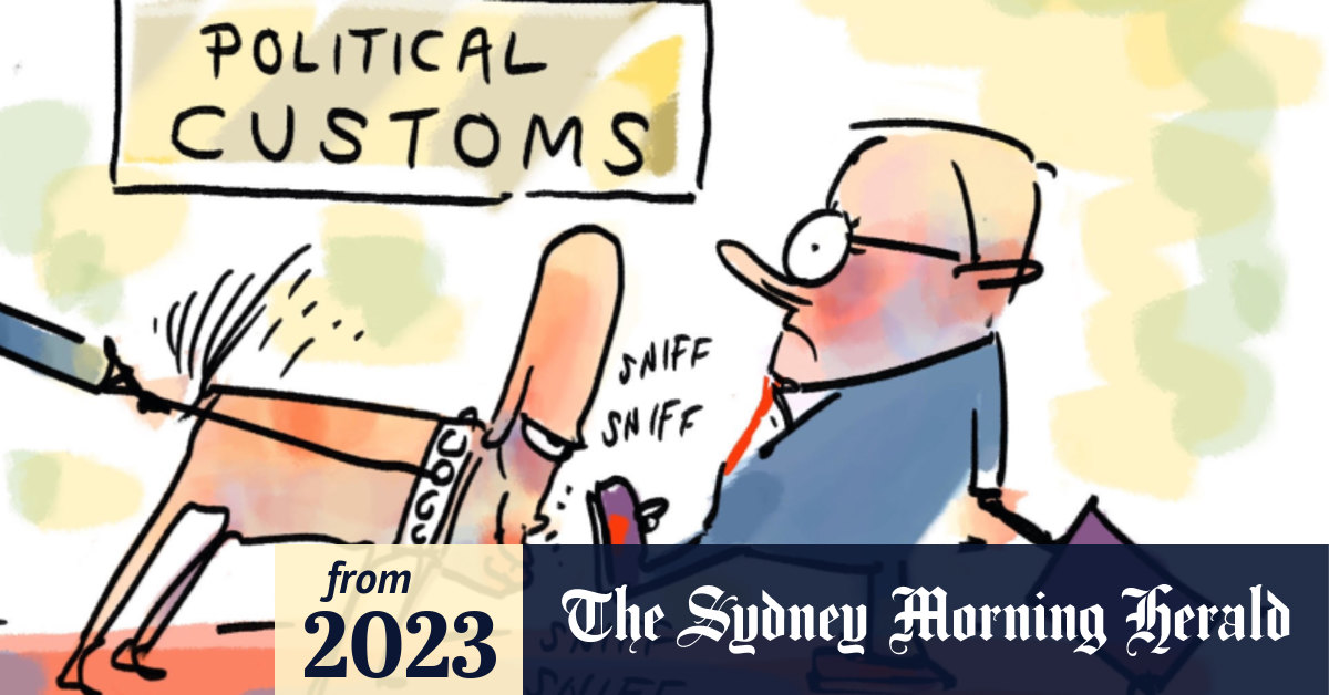 Best of cartoons, October 29, 2023