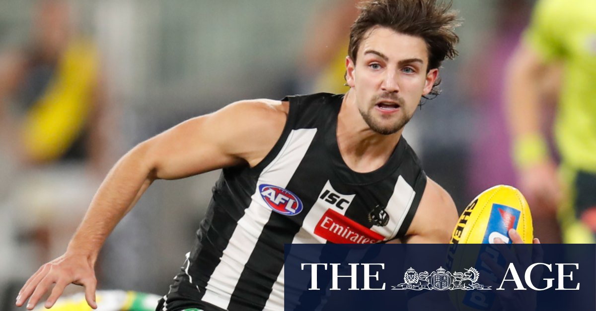 AFL Finals 2020: The son also rises - the story of Collingwood Football ...