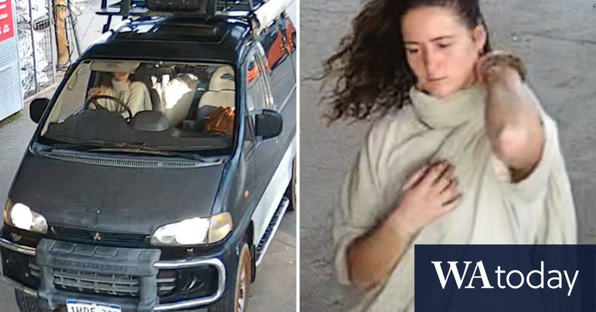 Bryce adams swap this lady is fun, quick with a joke,