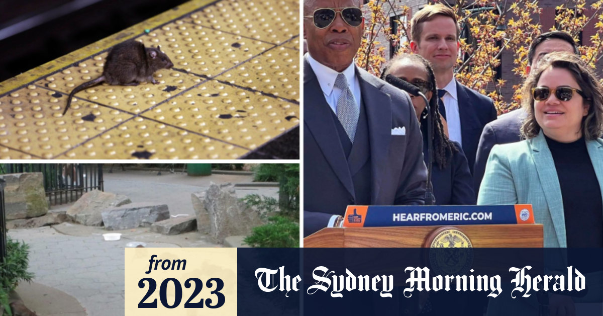 New York City rats: Kathleen Corradi appointed city’s new ‘rat tzar’