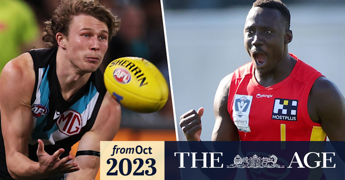 AFL 2023: Hawthorn Hawks land Mabior Chol as Xavier Duursma explores a ...