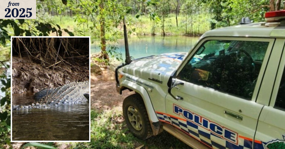 Human remains found in crocodile following search for missing man