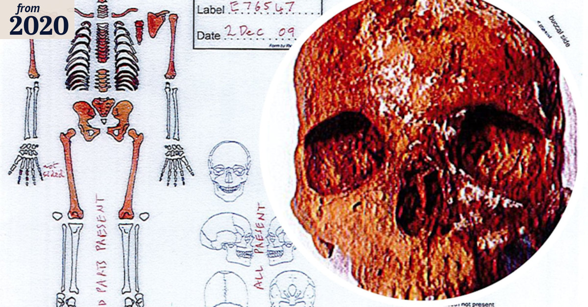 Australian Museum skeleton, believed to be Indigenous remains, actually ...