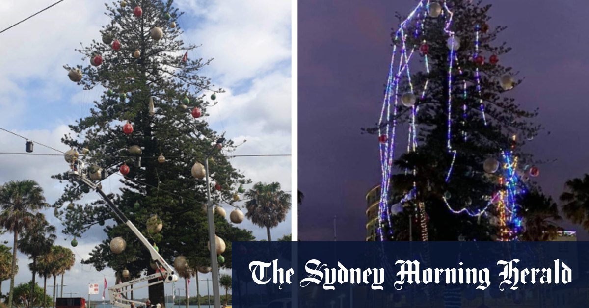 Port Macquarie Christmas tree: How one town’s terrible tree captured ...