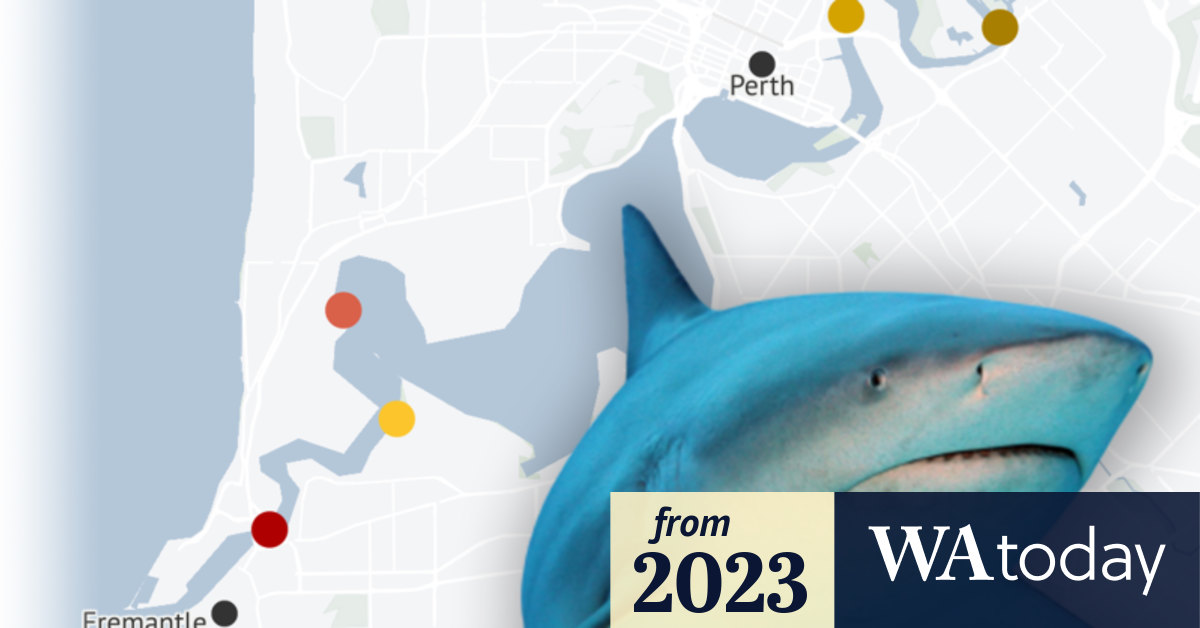 Stella Berry: Experts call for more warnings on bull shark danger in ...