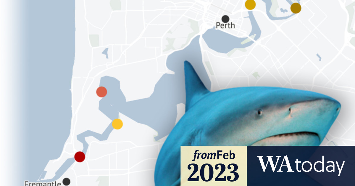 Stella Berry: Experts call for more warnings on bull shark danger in ...