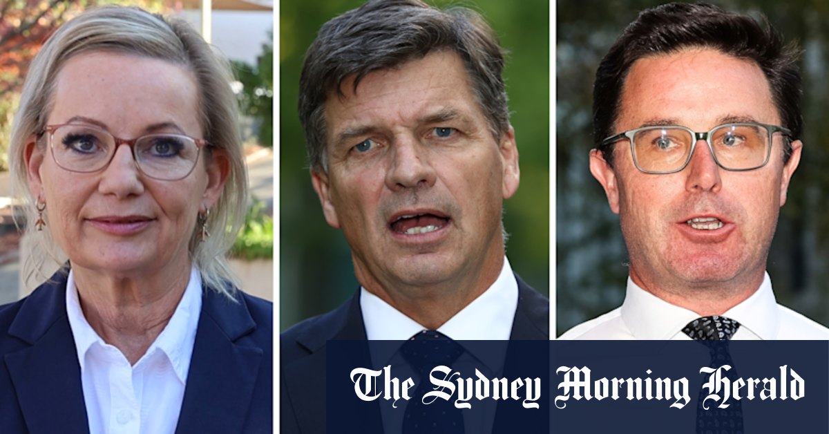 Angus Taylor, Sussan Ley: Coalition leadership decision pending as ...