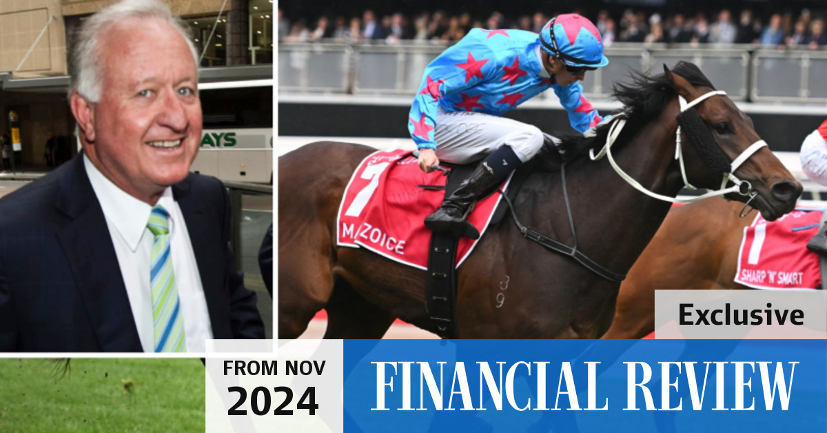 Melbourne Cup 2024: Mining millionaire Brian Flannery an outside chance ...