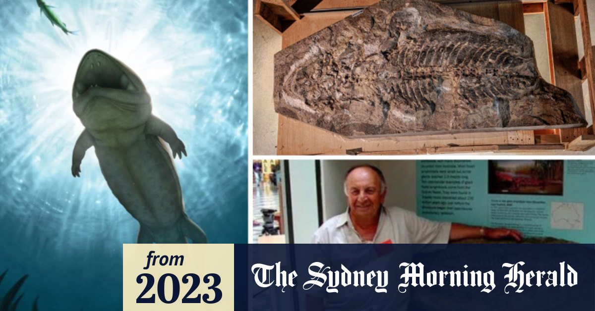 Scientists finally identify 240 million-year-old Central Coast fossil