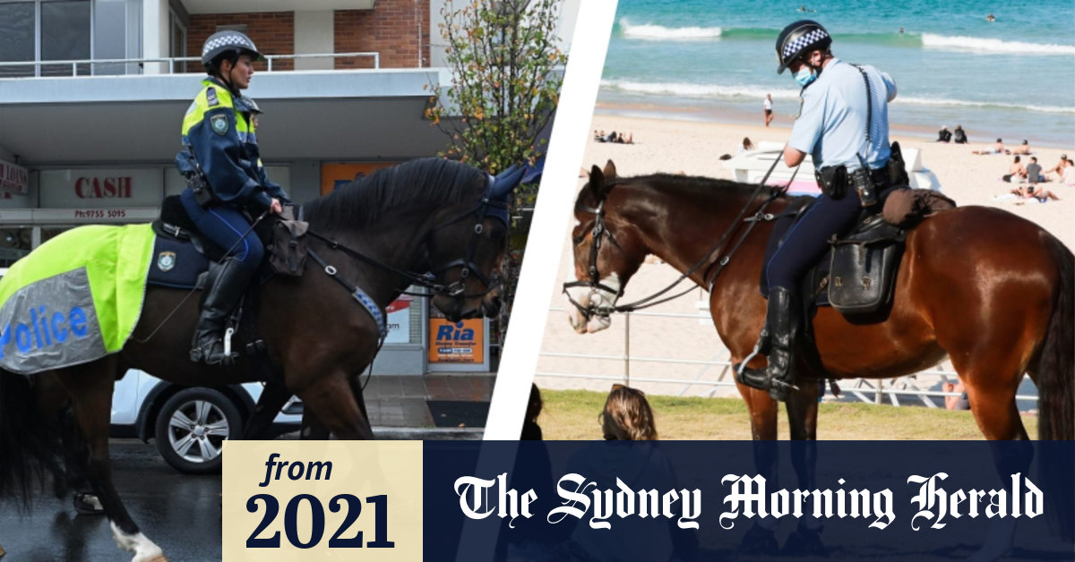 NSW COVID: Where the most COVID-19 fines were doled out