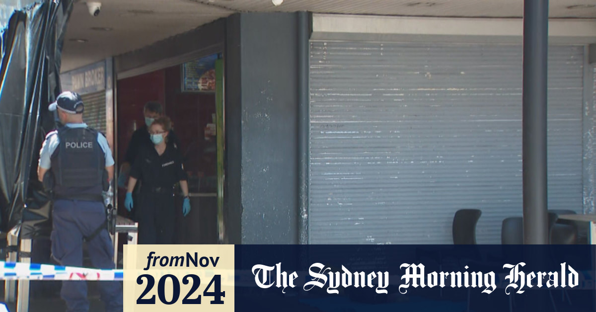 Man Tasered while trying to escape police custody after climbing into ...