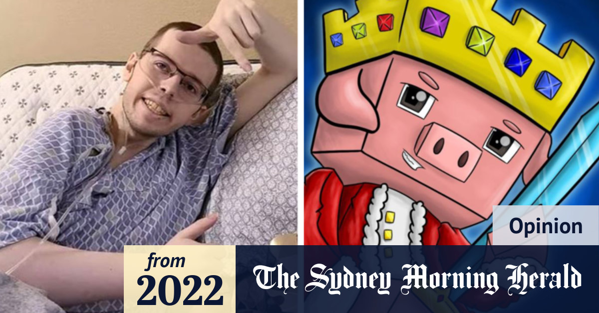 Technoblade death brought virtual grief into my family