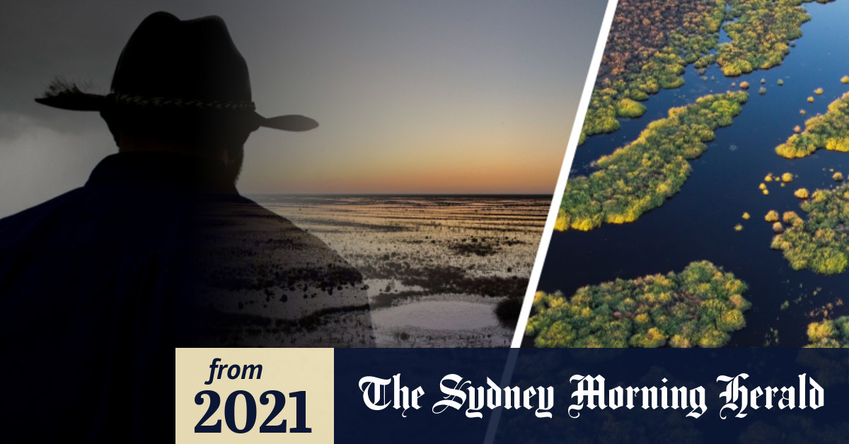 Indigenous land management: NSW wetlands thriving under new deal