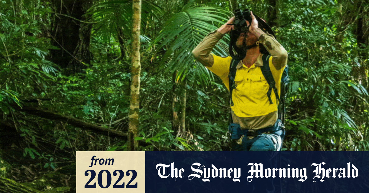 NPWS gives endangered NSW tree Nightcap Oak secret new home to protect ...