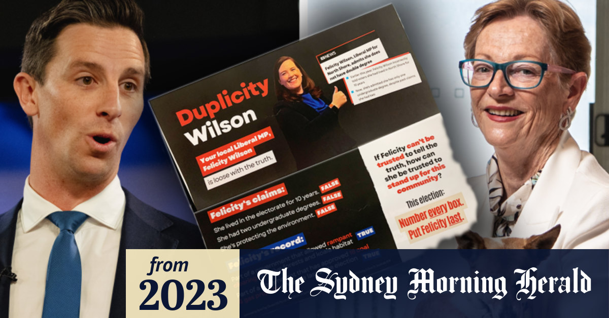 NSW election 2023: Teal anger over Climate 200 attack ad on Liberal MP