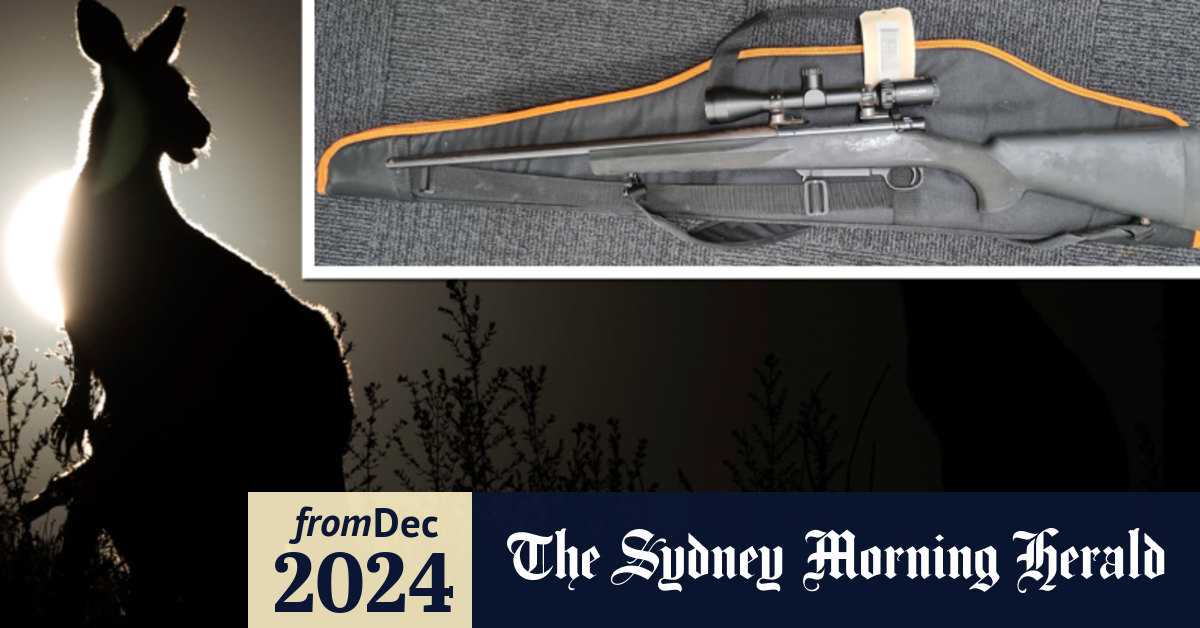 Animal cruelty: Charges laid after 100 kangaroos shot in Hunter Valley