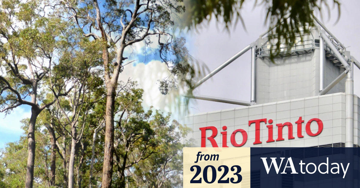 Rio Tinto’s withdrawal from exploration a ‘big win’ for WA’s jarrah forests