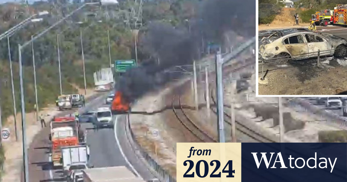 Perth traffic: Rogue sheep falling off truck causes fiery Kwinana ...