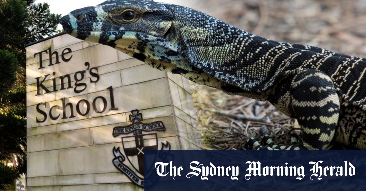 King’s School headmaster Tony George responds to goanna death