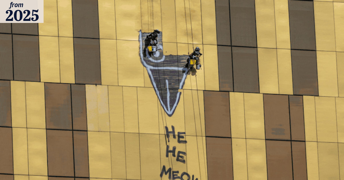Pam the Bird: Accused Jack Gibson-Burrell asks for bail for a second ...