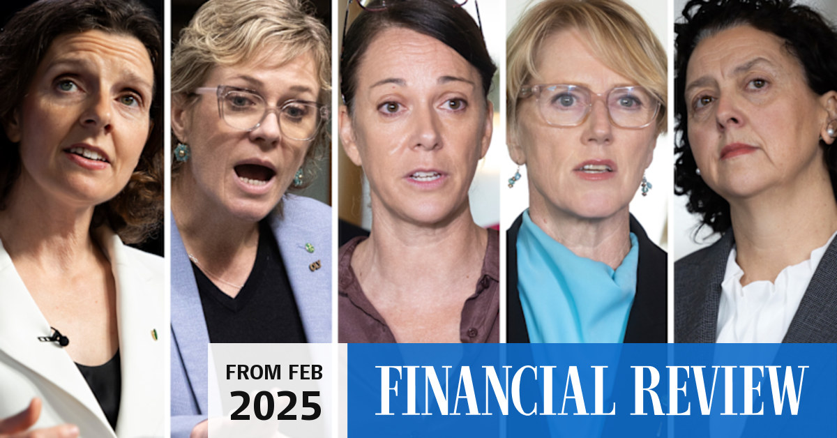 Election 2025: The 12 teal battlegrounds to watch out for this election