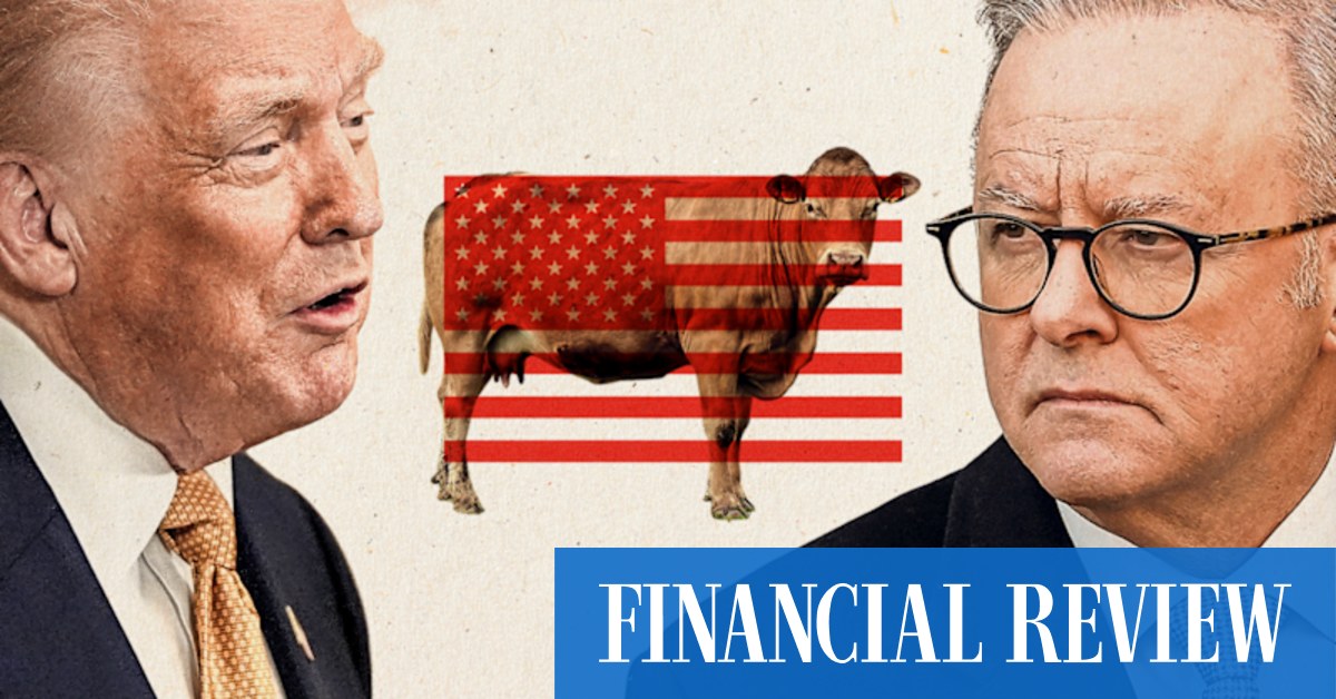 Australian beef exports: US tariff cut looms amid Donald Trump’s ...