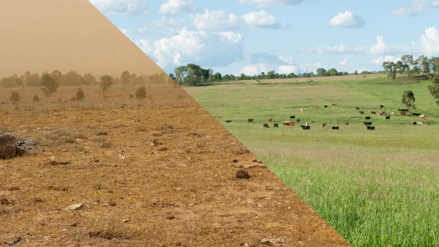 How rain is transforming landscapes and the emotions of rural people