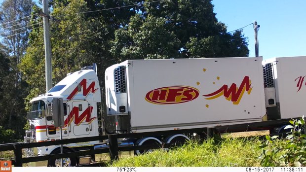 Council accused of going soft on Mafia-linked strawberry farmer