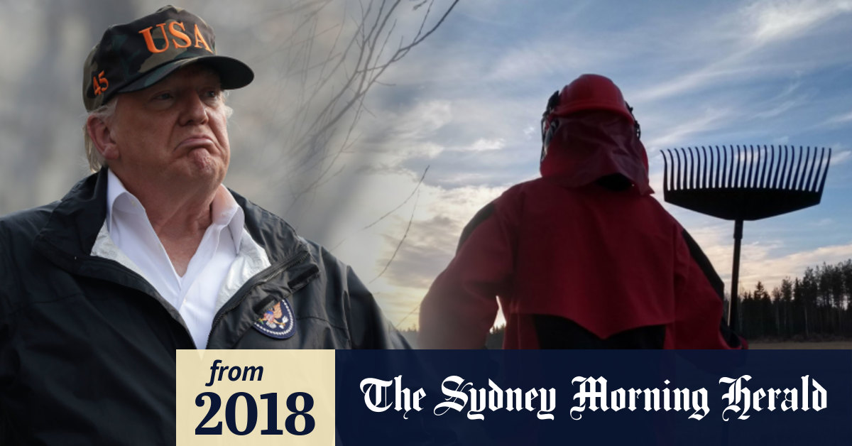 California fires: Donald Trump ridiculed over advice to 'rake forest ...