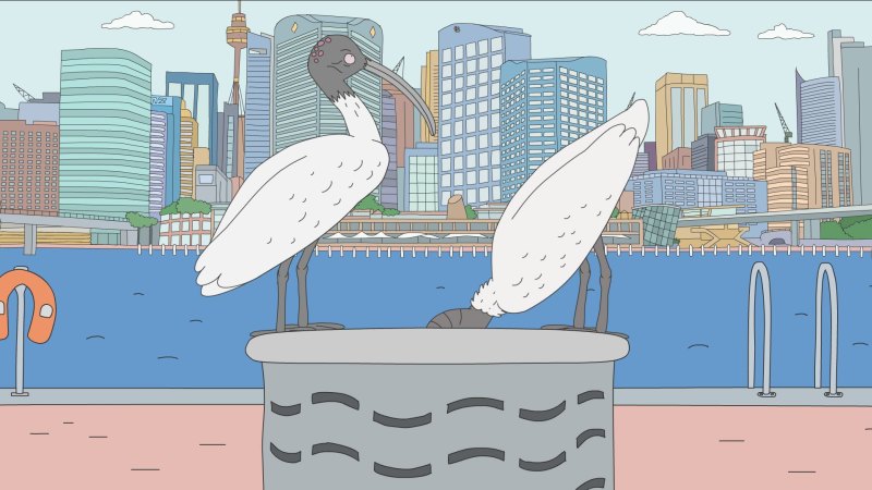 The humble bin chicken is headed for a moment in the spotlight