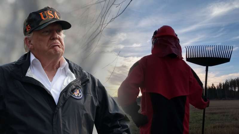 California fires: Donald Trump ridiculed over advice to 'rake forest ...